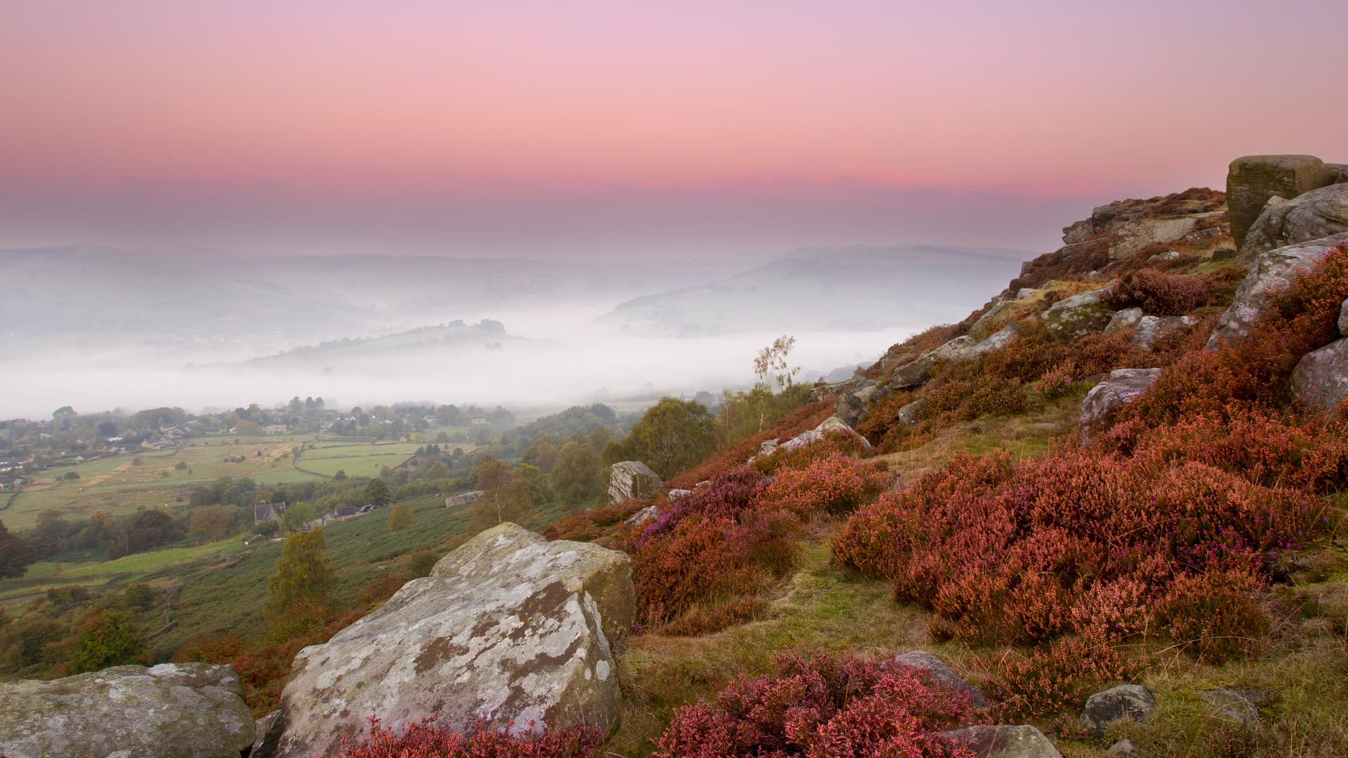 Our Moors Sheffield Rotherham Wildlife Trust