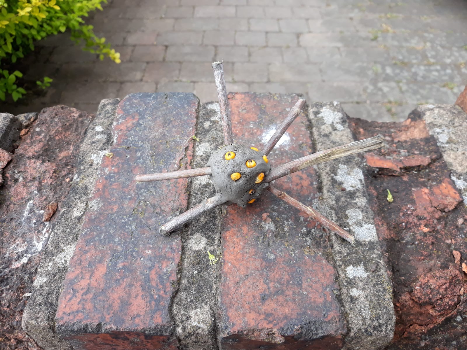 Nature Adventures with a Toddler (and beyond!) - Brilliant Boggarts ...