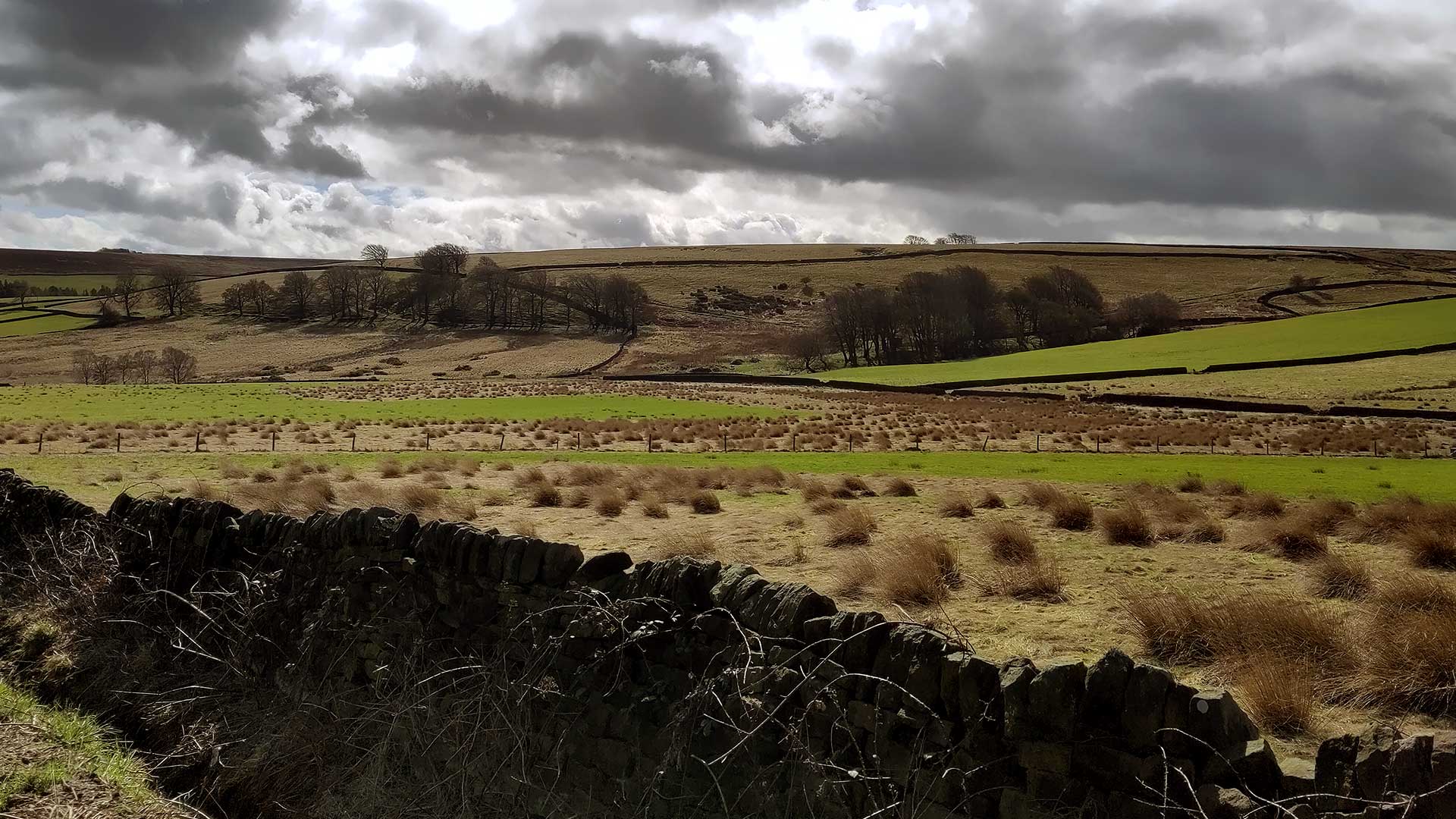 Ughill Farm - Sheffield & Rotherham Wildlife Trust