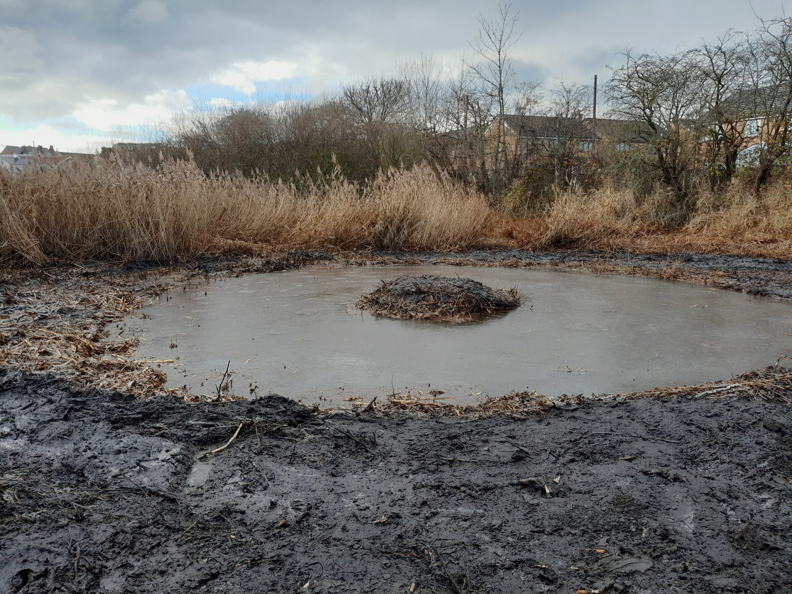 From bagels to butterflies! - Sheffield & Rotherham Wildlife Trust