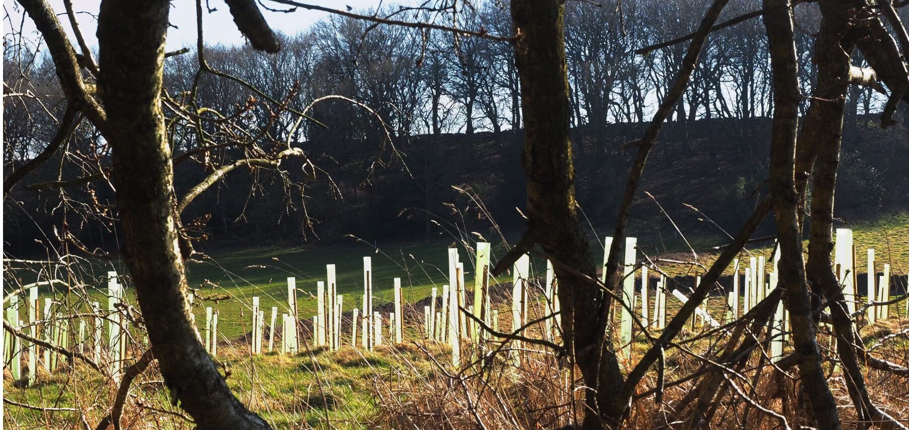 "I just want to put something back" - Sheffield & Rotherham Wildlife Trust