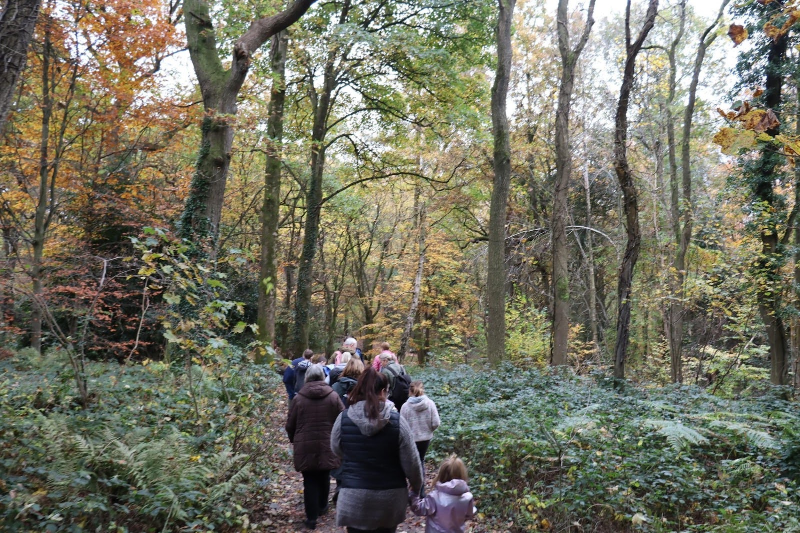 Super Seasons - Sheffield & Rotherham Wildlife Trust