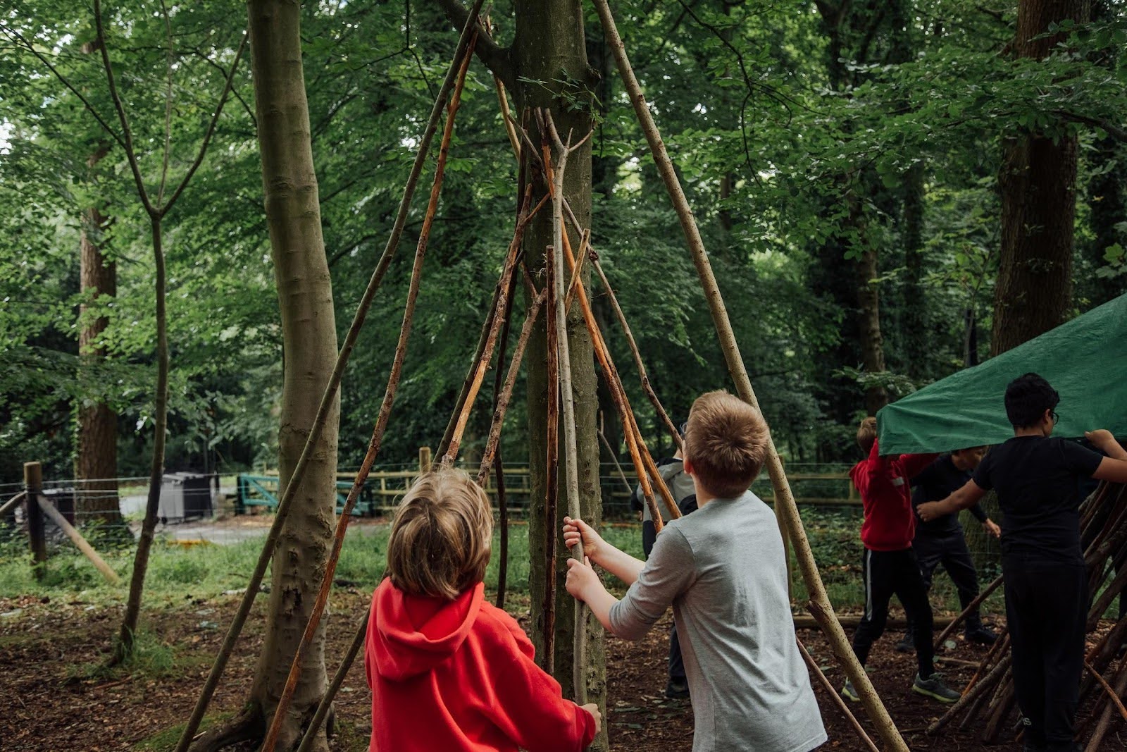 Forest School for Primary - Sheffield & Rotherham Wildlife Trust